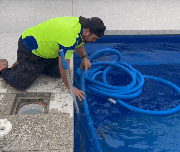 How To Keep Your Pool Bug-Free (Part 2) - Everclear Pools SA